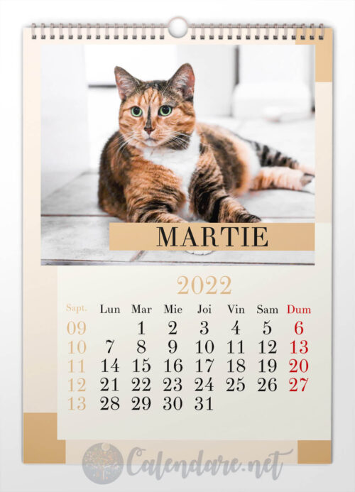 Calendar de perete personalizat - Model 11, Calendar cu pisoi