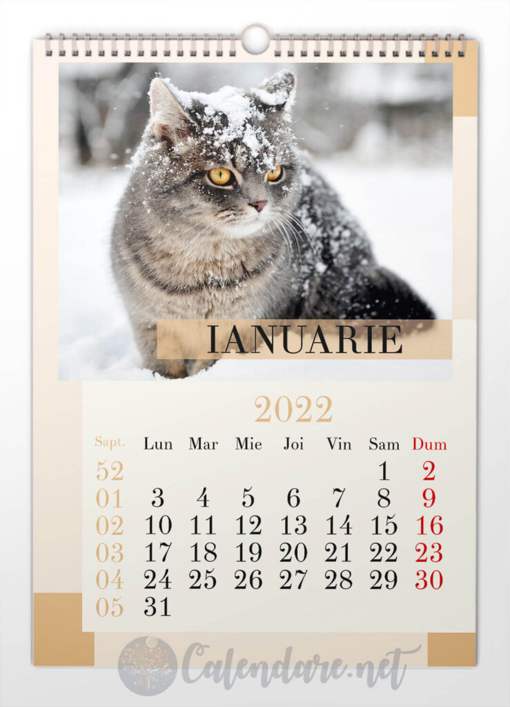 Calendar de perete personalizat - Model 09, Calendar personalizat