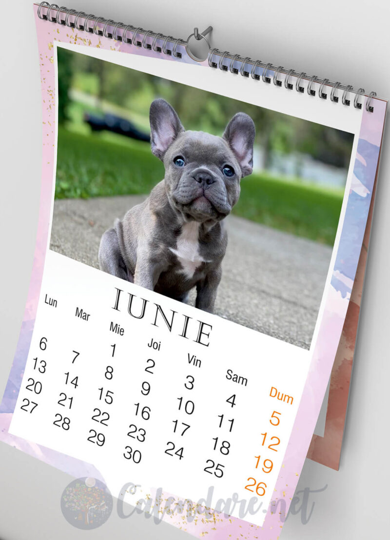 Calendar de perete personalizat - Model 14, Calendar cu catelusi